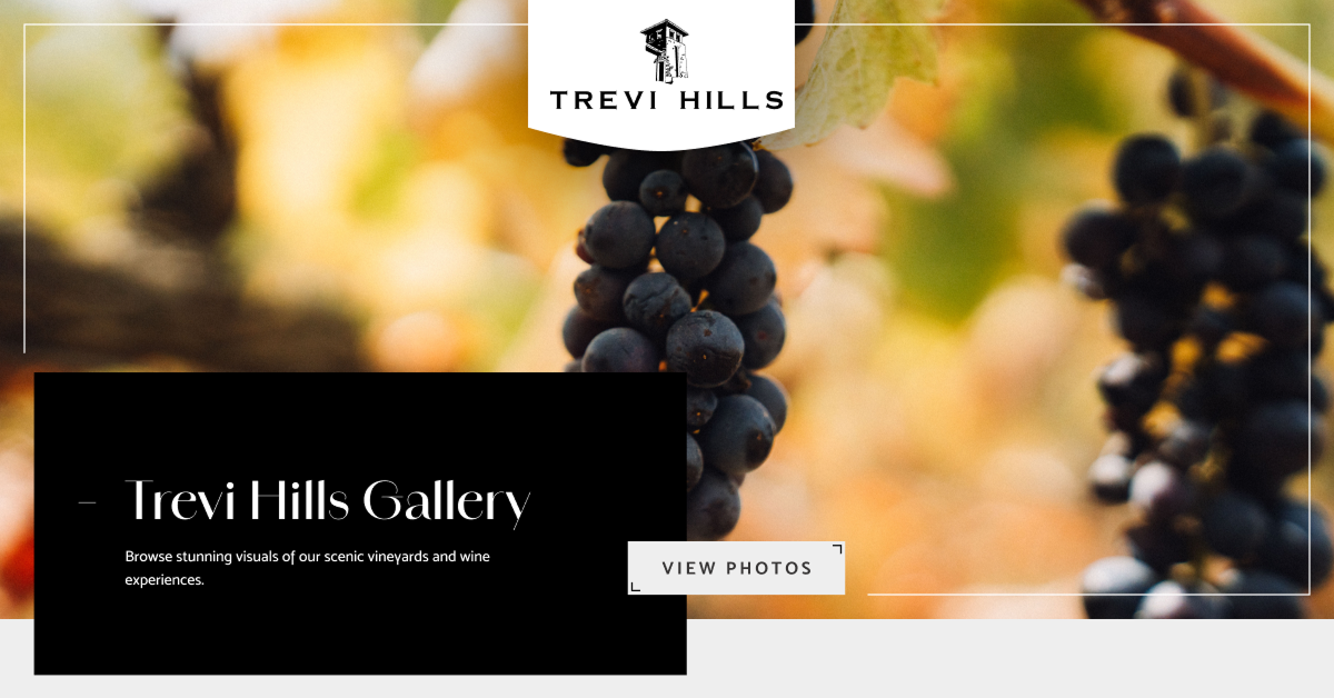Gallery | Trevi Hills Winery | Scenic Views & Wine Experiences